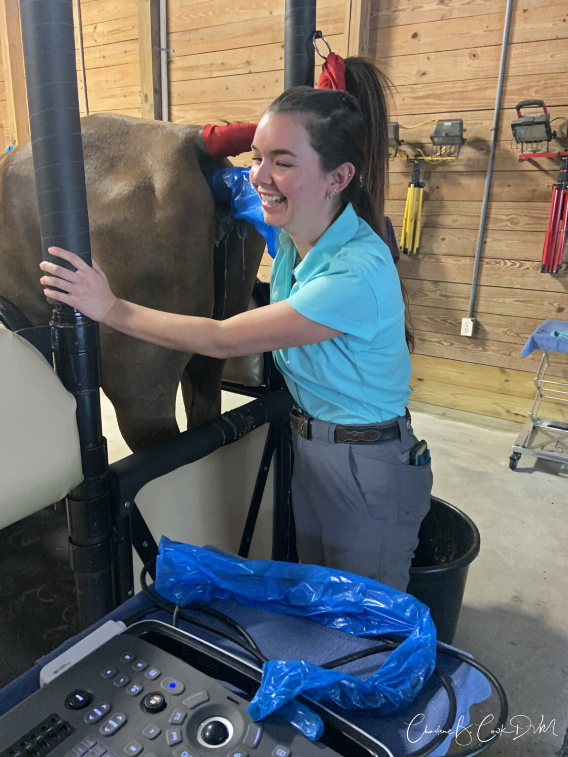 Opportunities - Central Georgia Equine Services